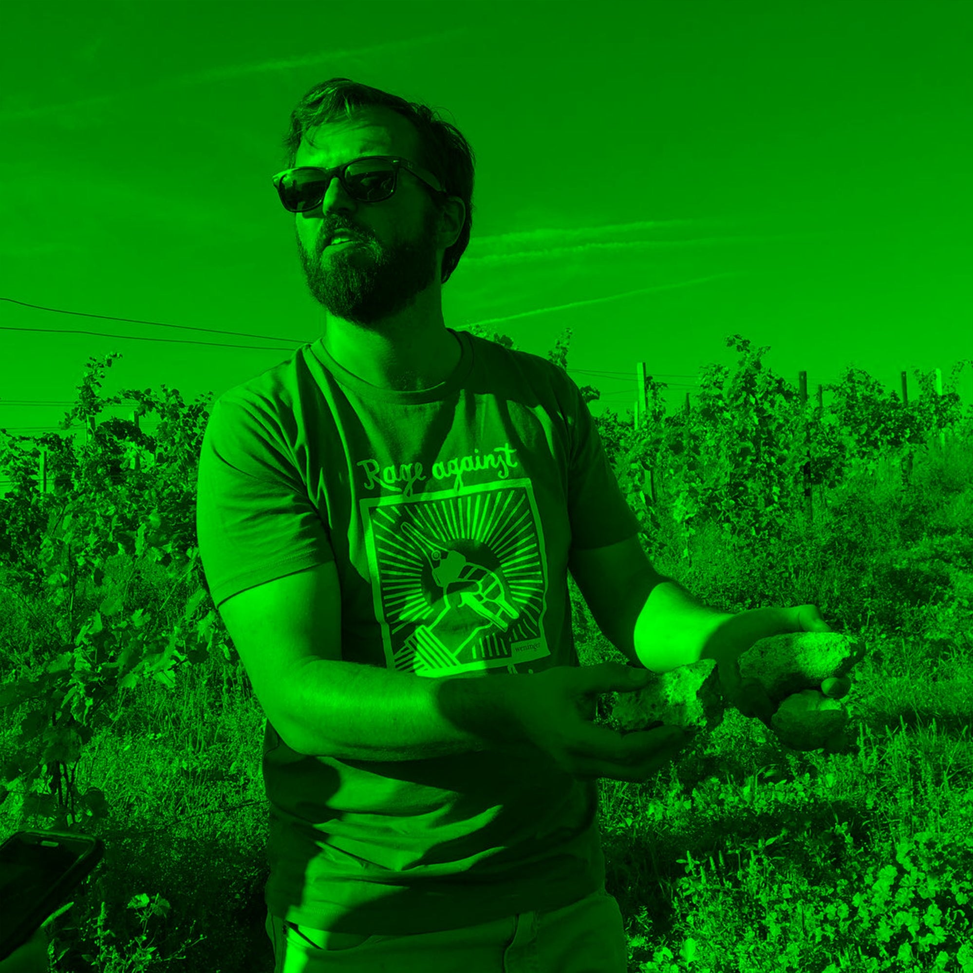 Franz Weninger — Wine Freedom